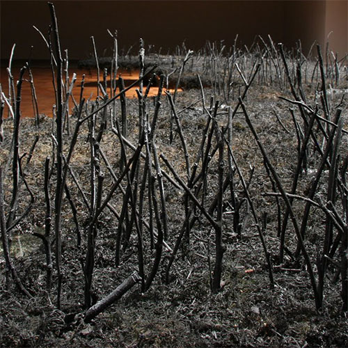 Floating Fires | blane de st. croix